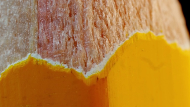 QUIZ: Guess The Object From The Zoomed In Picture – Daily Feed QUIZ: Guess The Object From The Zoomed In Picture – Daily Feed